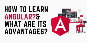 How To Learn Angular?& What Are Its Advantages?